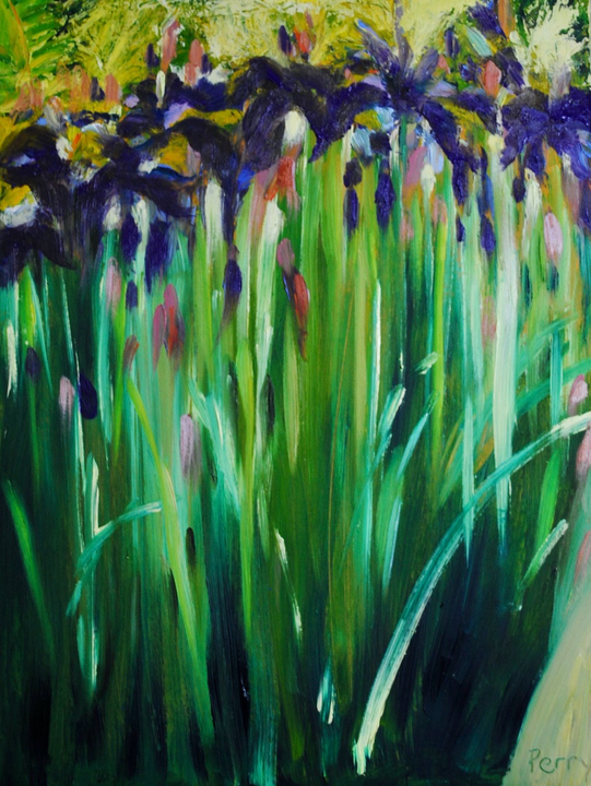 Judith Perry's Oil Paintings