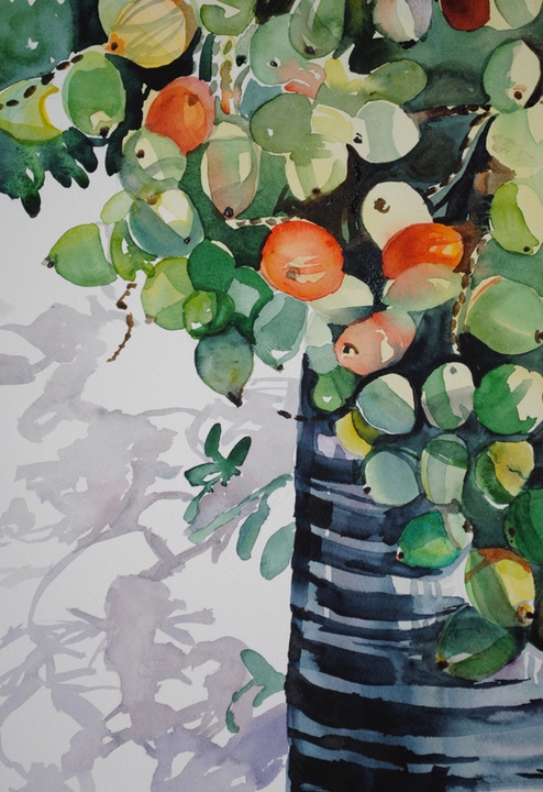 Judith Perry's Hawaii Paintings