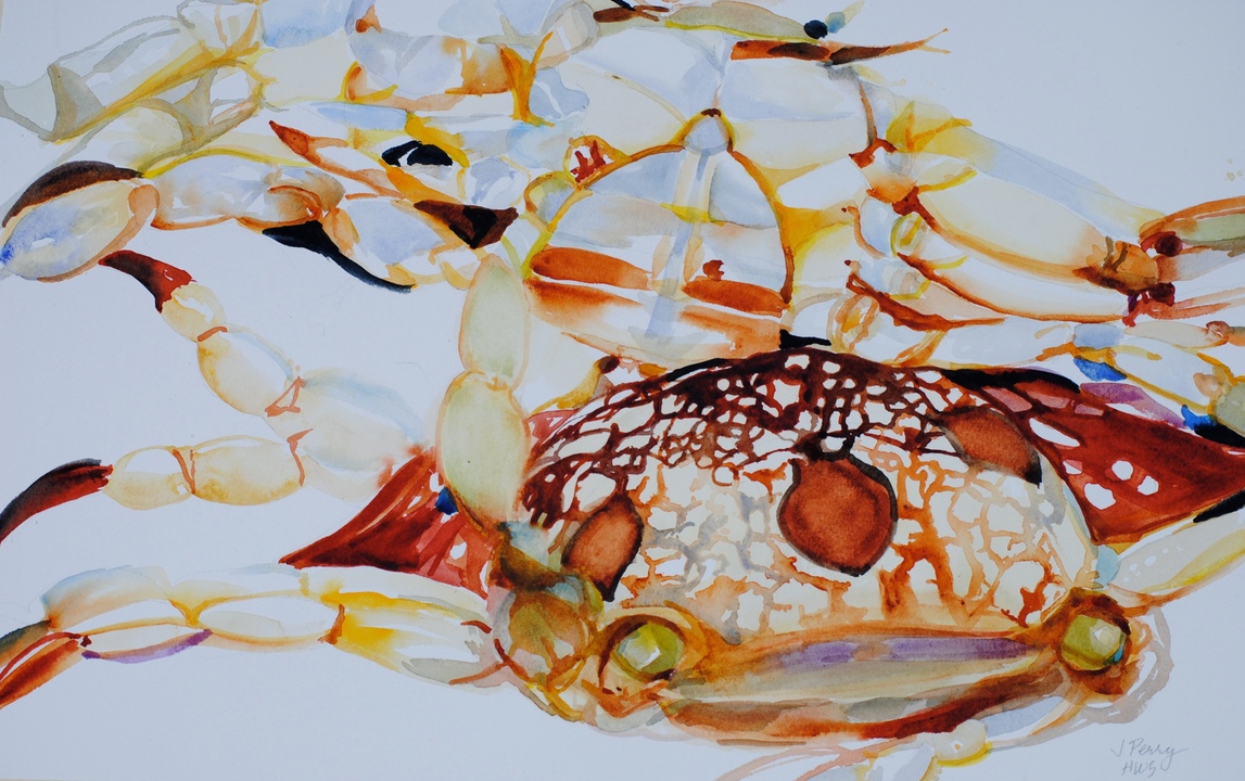 Judith Perry's Hawaii Paintings