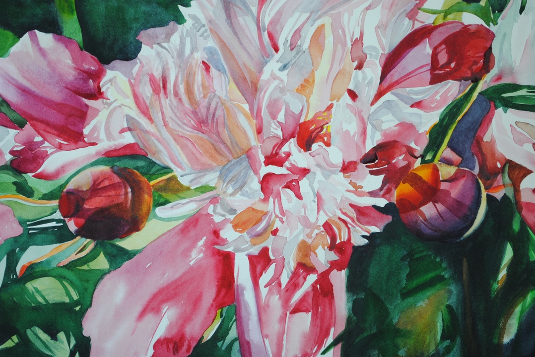 Judith Perry's Hawaii Paintings