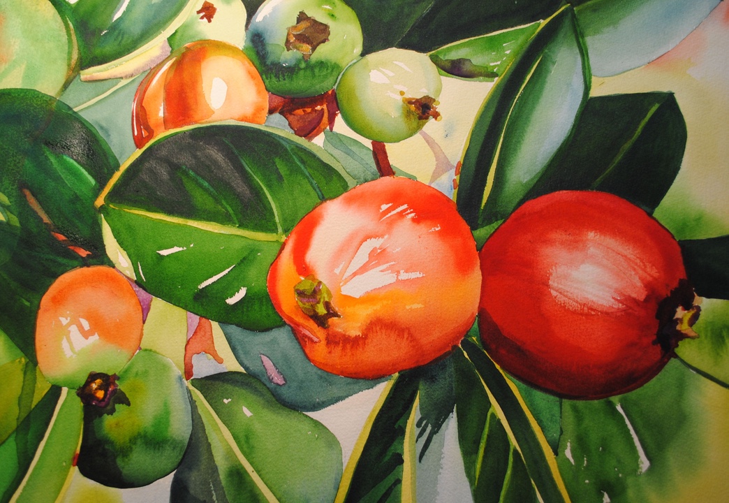 Judith Perry's Hawaii Paintings